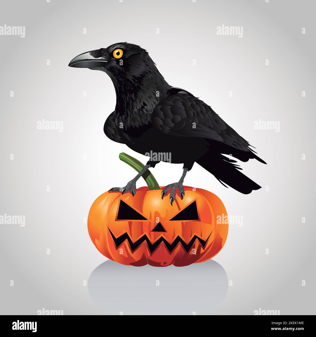 Crow Stock Vector Images - Alamy