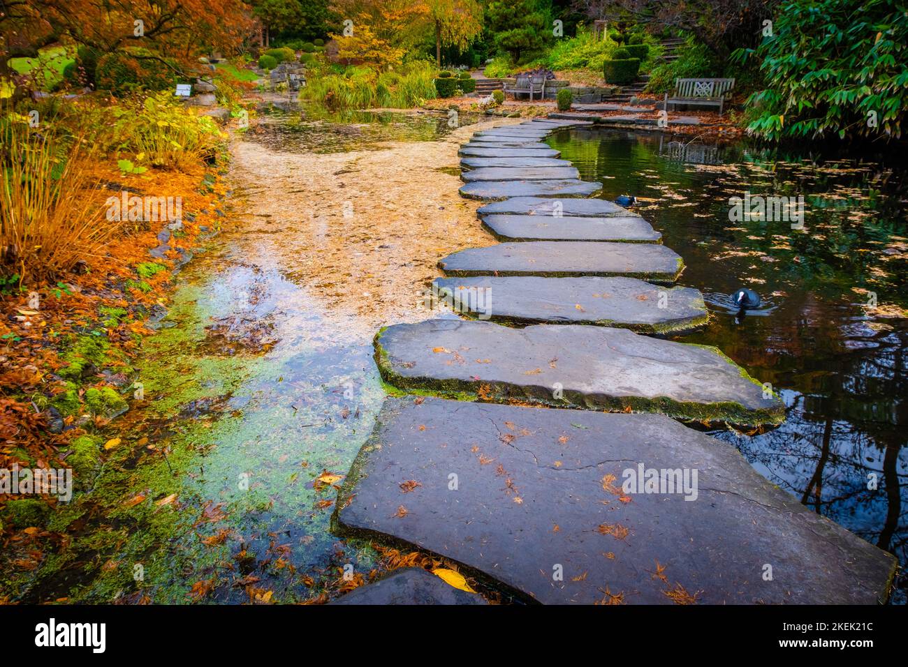 Sunny day in Autumn, trees with yellow orange, red leaves Stock Photo ...