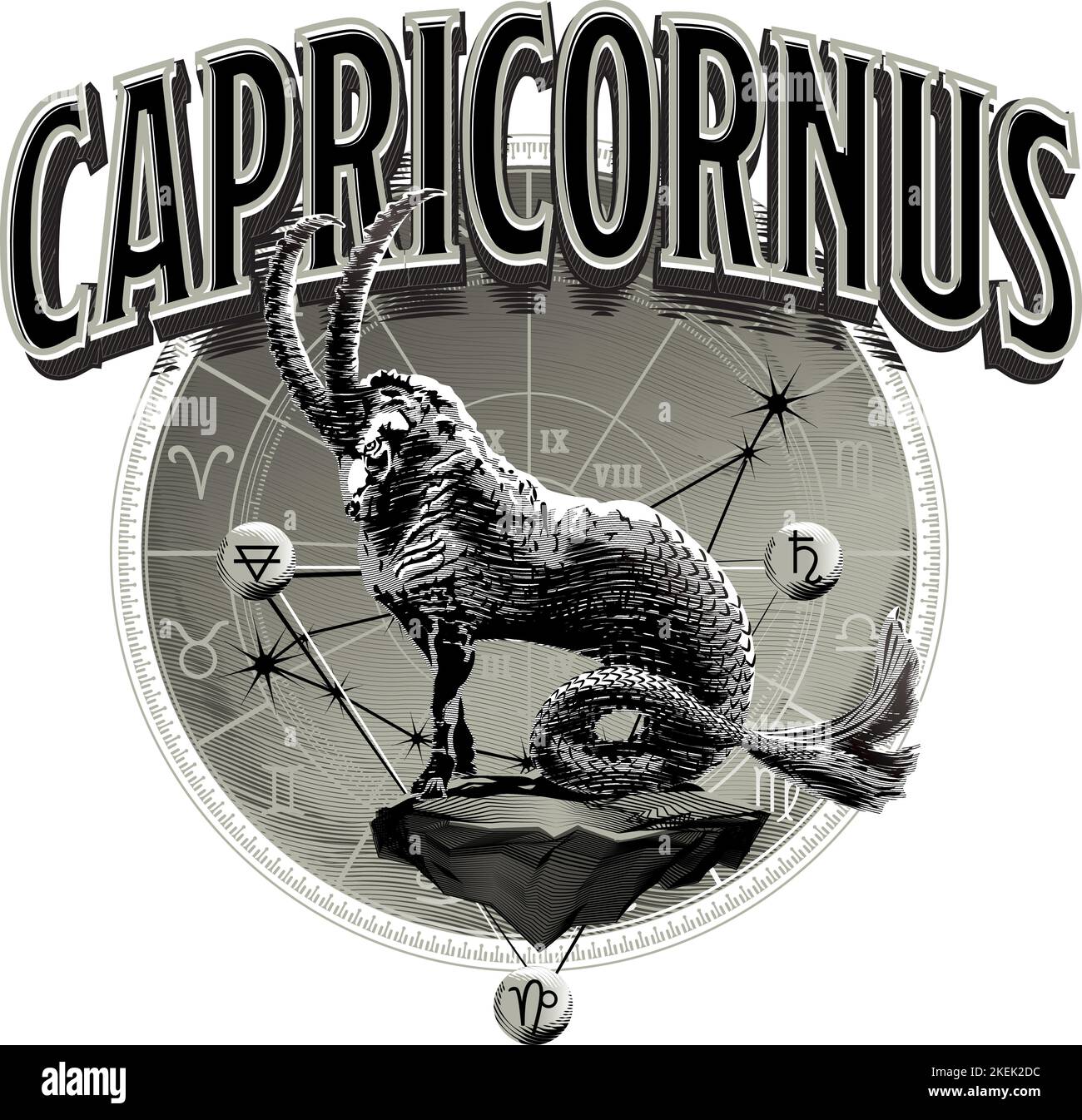 Astrological vector - Hand drawn romantic beautiful line art of zodiac ...