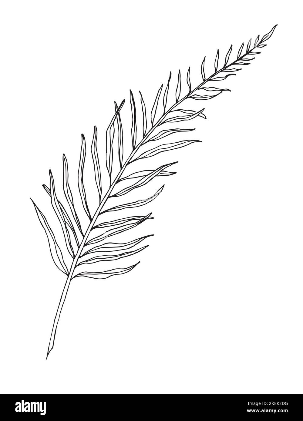 Branch line drawing hi-res stock photography and images - Alamy