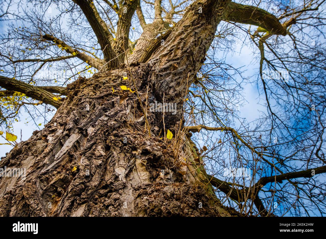 Sunny day in Autumn, trees with yellow orange, red leaves Stock Photo ...