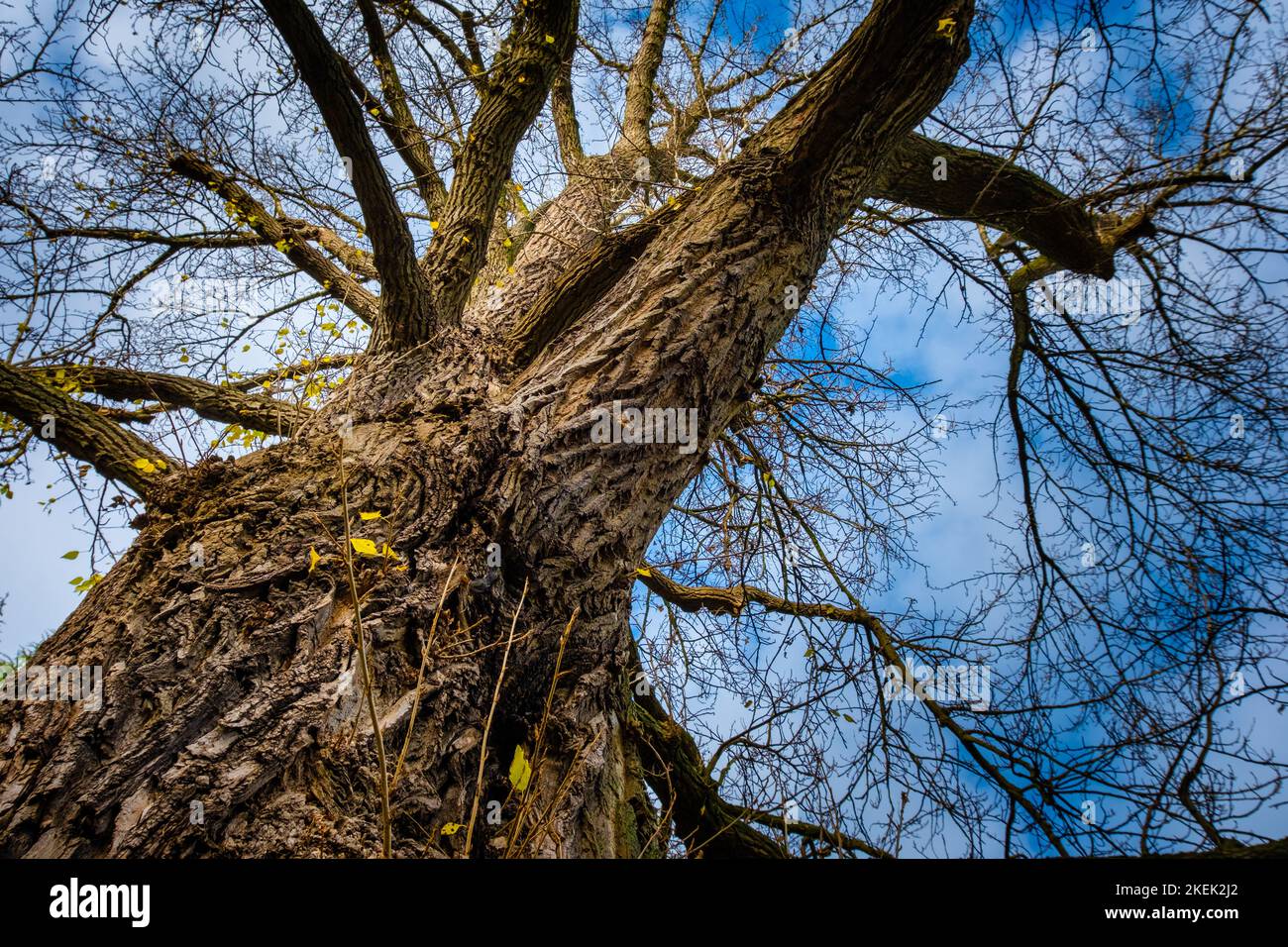 Sunny day in Autumn, trees with yellow orange, red leaves Stock Photo ...