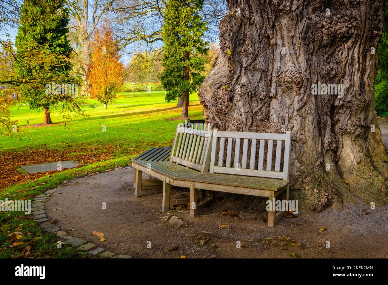 Sunny day in Autumn, trees with yellow orange, red leaves Stock Photo ...