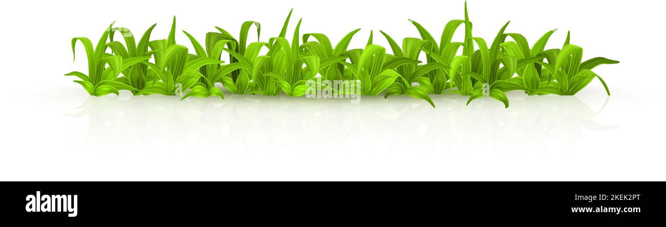 realistic vector icon illustration. Alpine green grass pasture ...