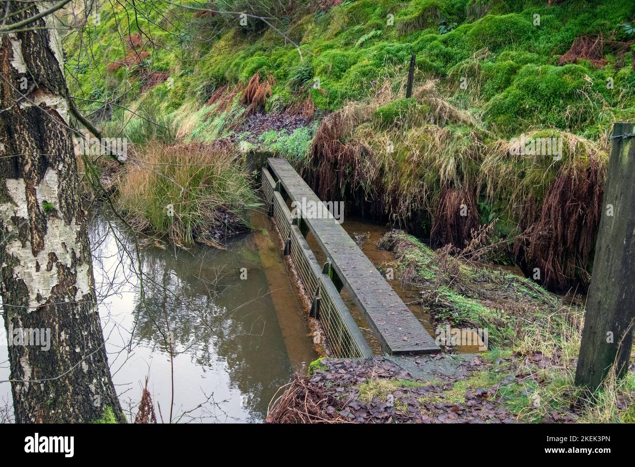 New heeley hi-res stock photography and images - Alamy