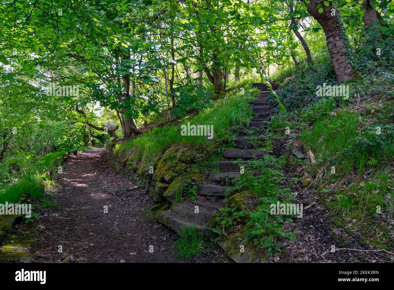 Woodland Steps at Allan Park, Sowerby Bridge Stock Photo - Alamy