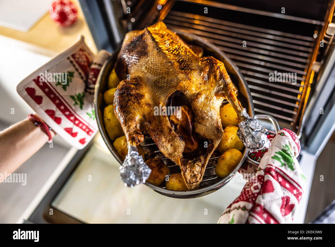 Female hands with Christmas gloves take out a baked goose from the oven ...