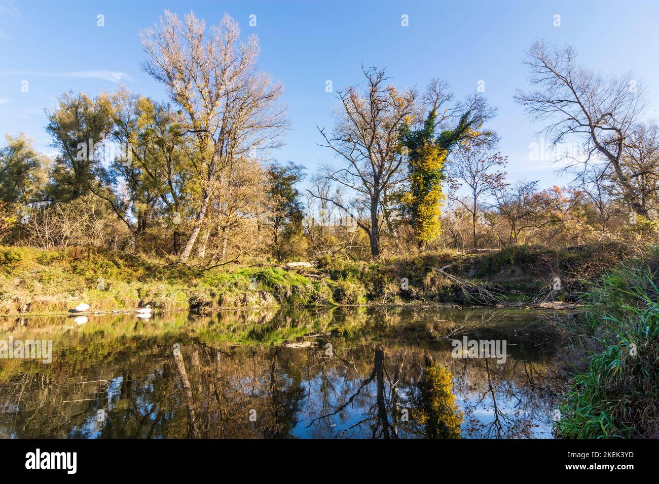Nationalpark Donau-Auen, Danube-Auen National Park: oxbow lake ...