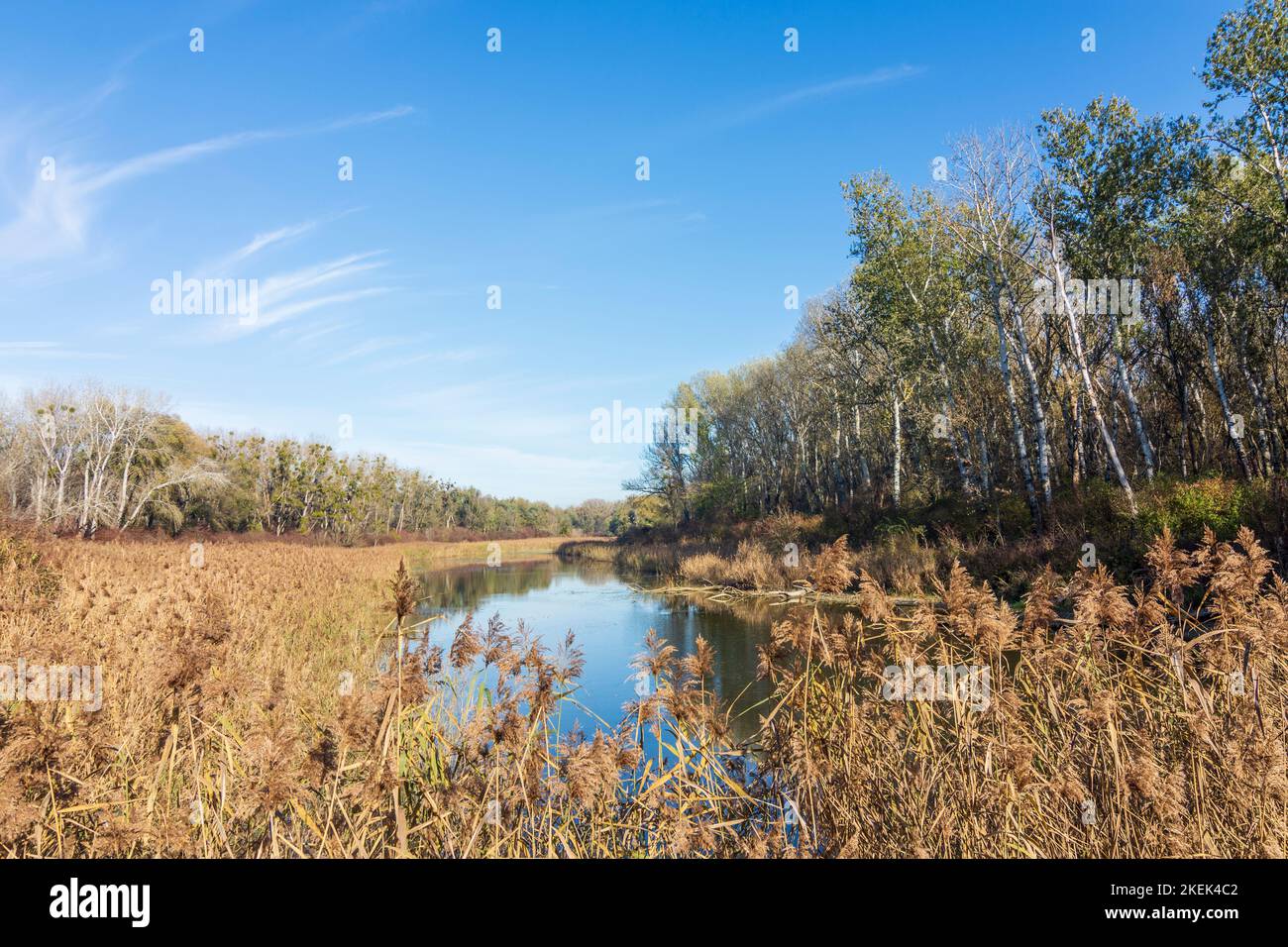 Nationalpark Donau-Auen, Danube-Auen National Park: oxbow lake ...