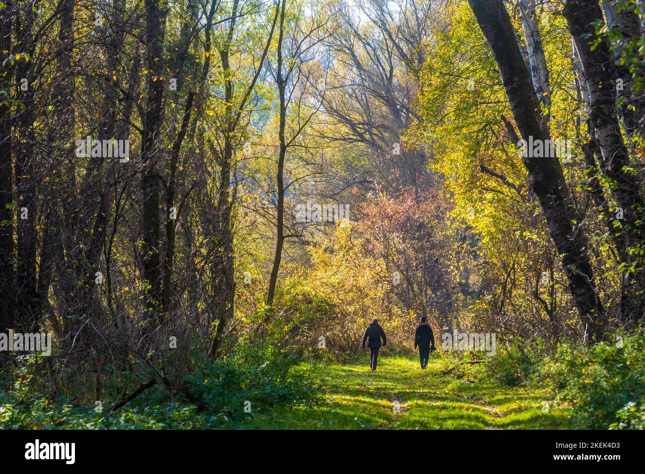 2 men on treppelweg treidelweg hi-res stock photography and images - Alamy