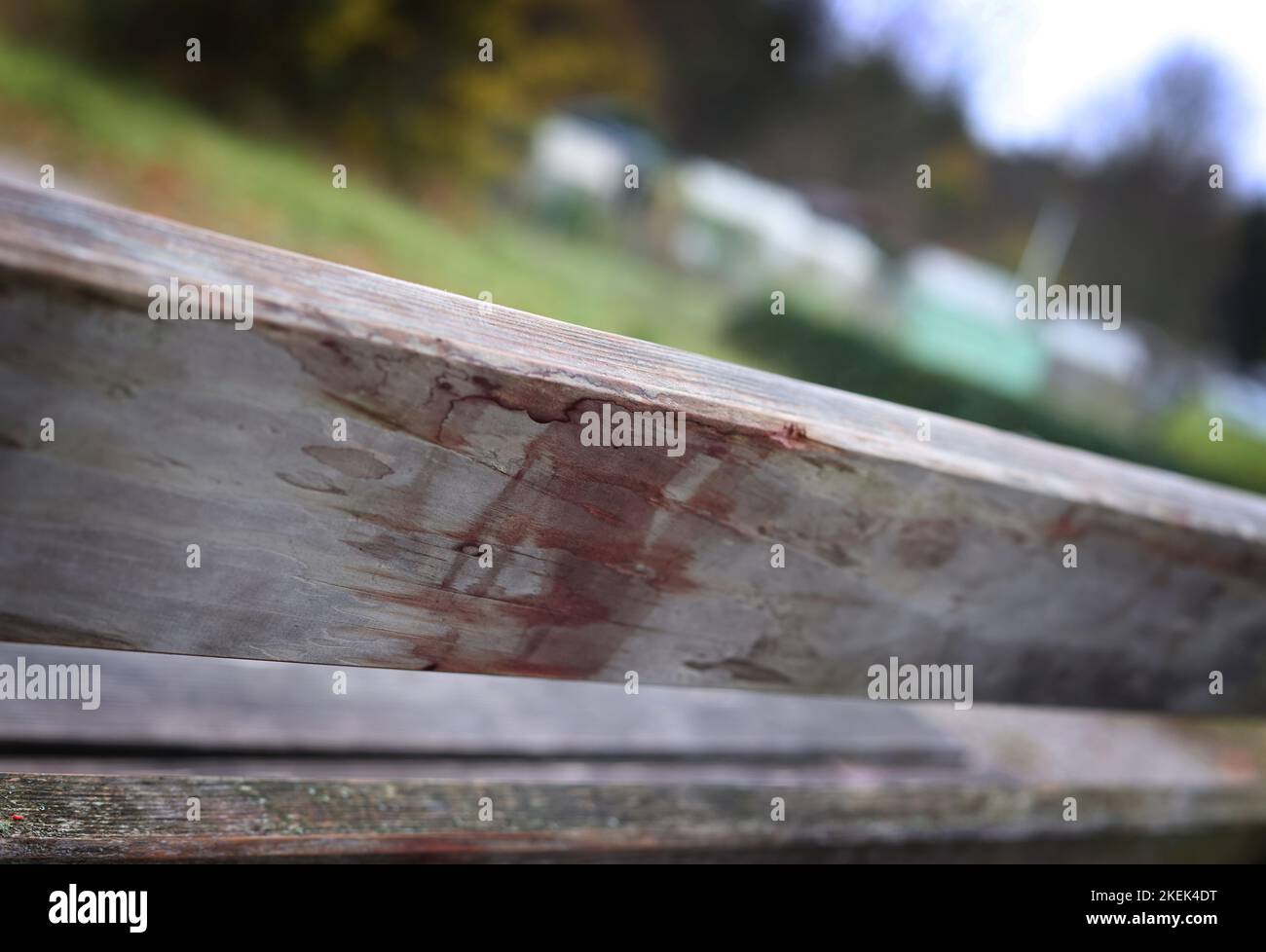 Back of a bench hi-res stock photography and images - Alamy