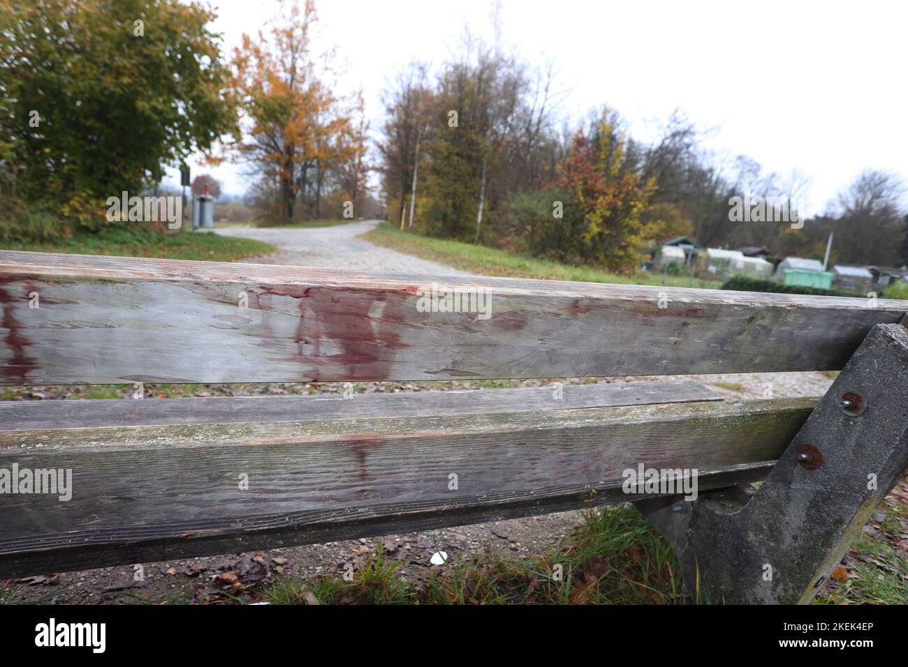 Weilheim, Germany. 13th Nov, 2022. Blood can be seen on the back of a ...