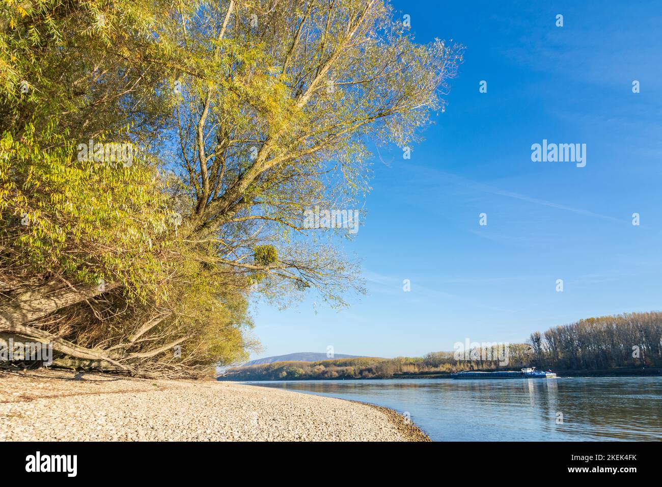 Nationalpark Donau-Auen, Danube-Auen National Park: river Donau (Danube ...
