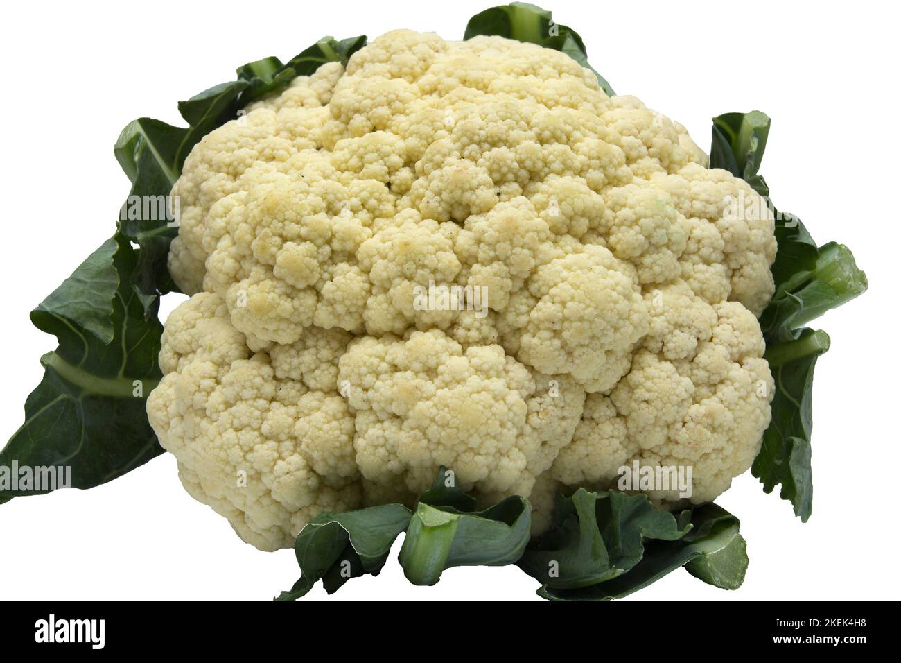 Cauliflower isolated on white background Stock Photo - Alamy