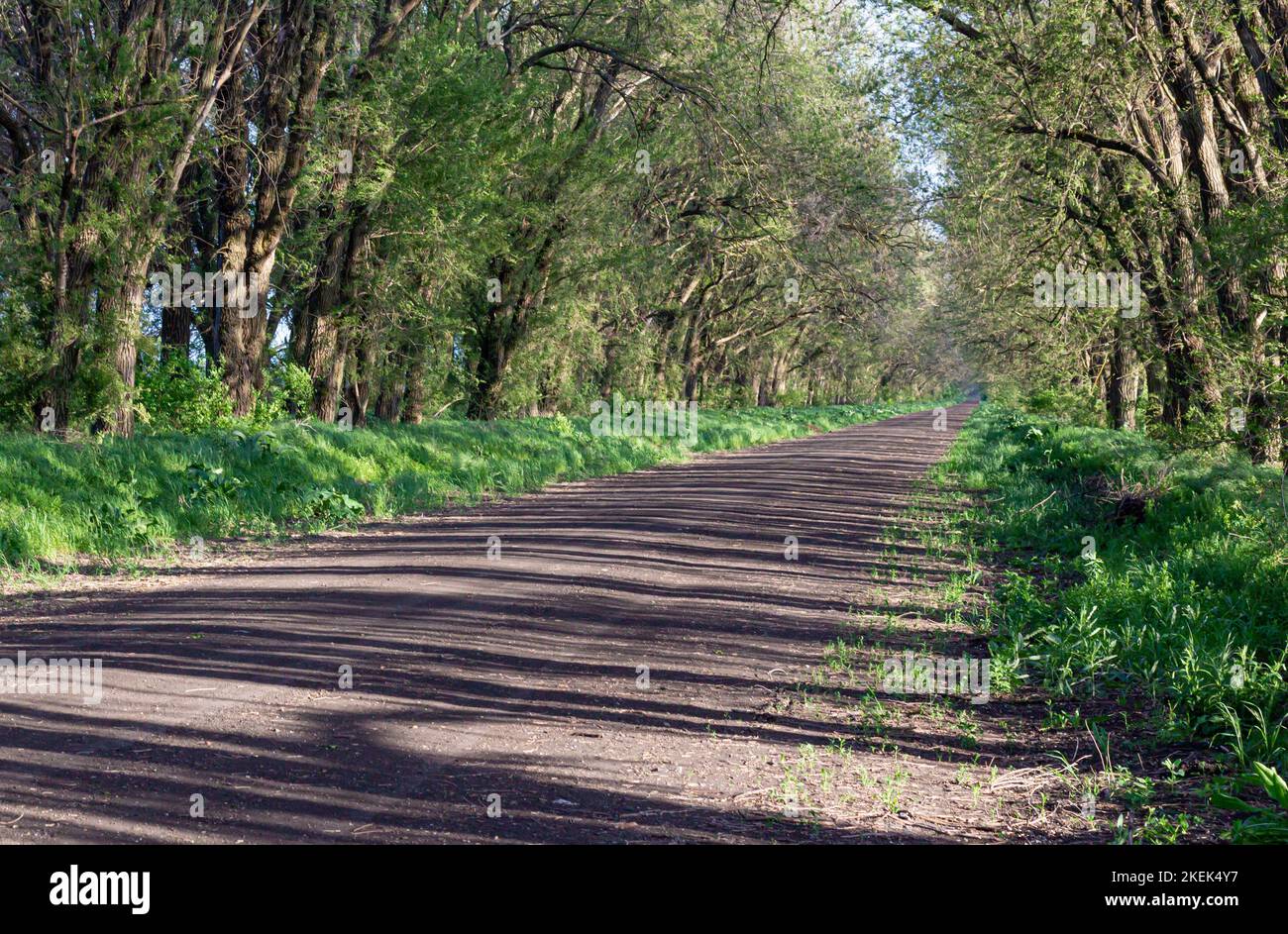 Pathway going into the distance hi-res stock photography and images - Alamy