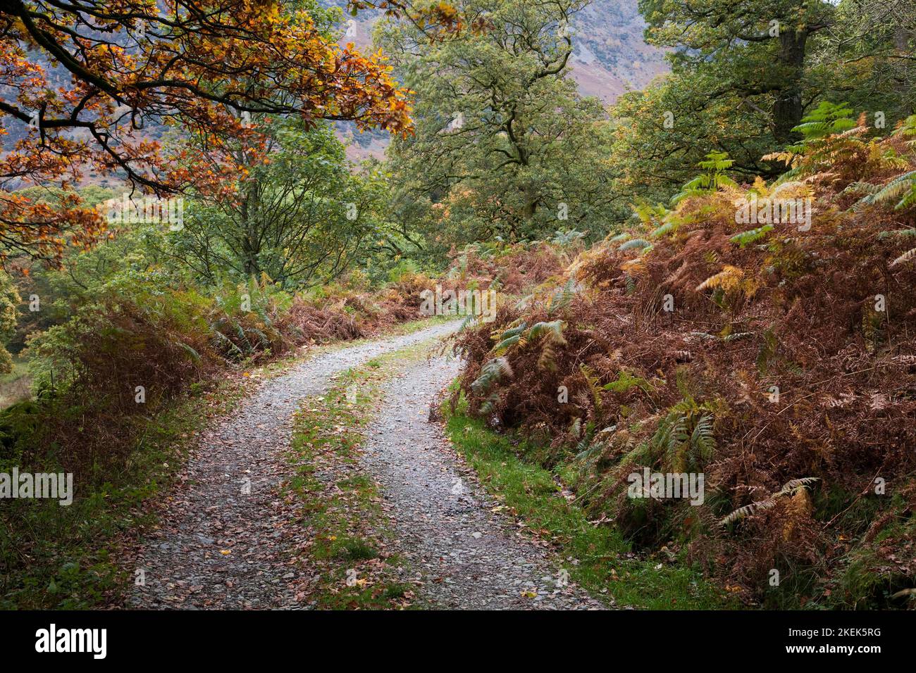 Seldom seen hi-res stock photography and images - Alamy