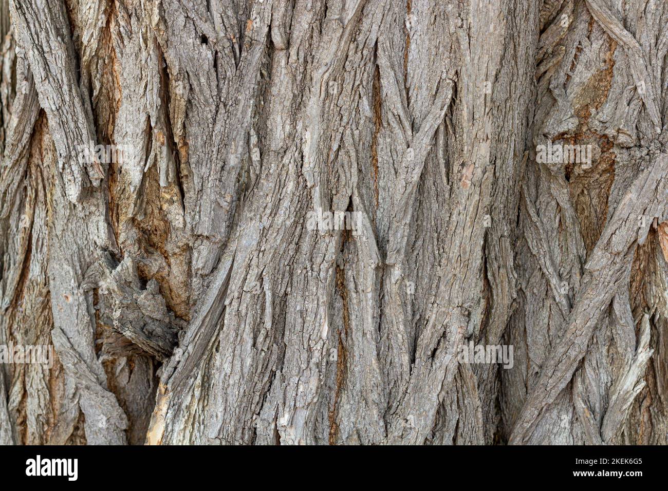 old wood texture pattern, for design Stock Photo - Alamy
