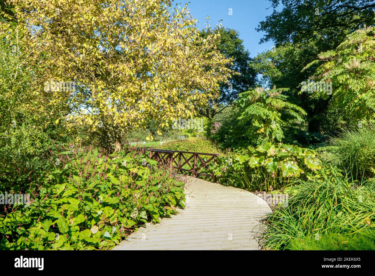 RHS Gardens Rosemoor, Devon Stock Photo - Alamy