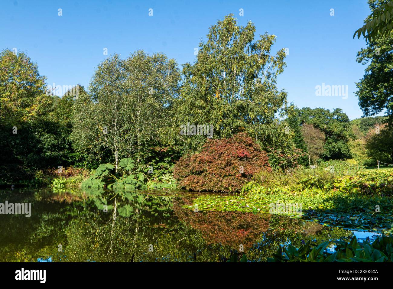 RHS Gardens Rosemoor, Devon Stock Photo - Alamy