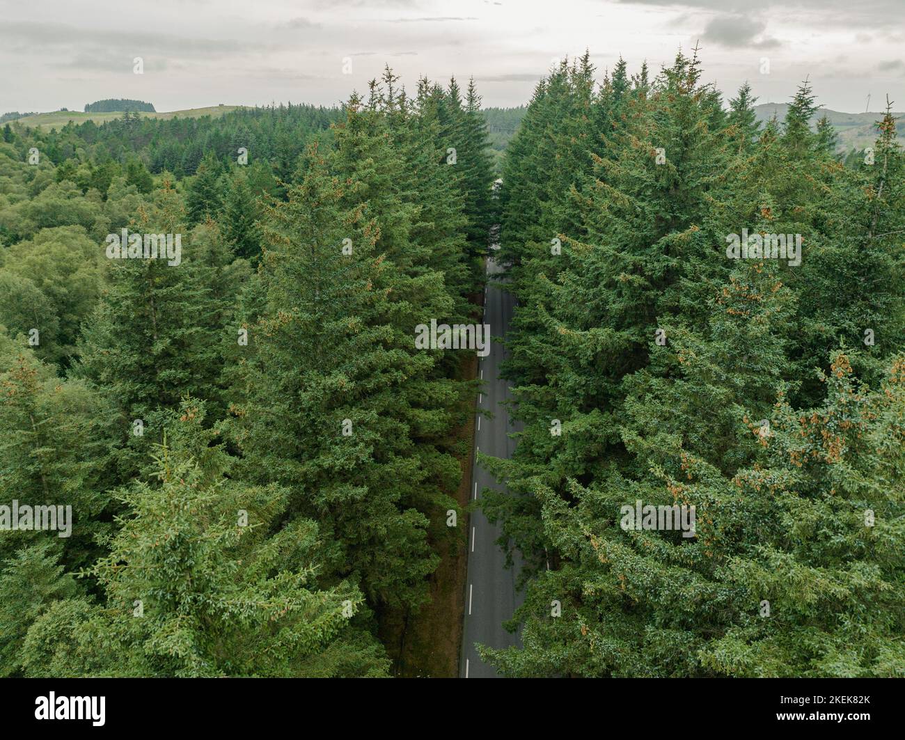 An aerial of a road through fir trees in Norway Stock Photo - Alamy