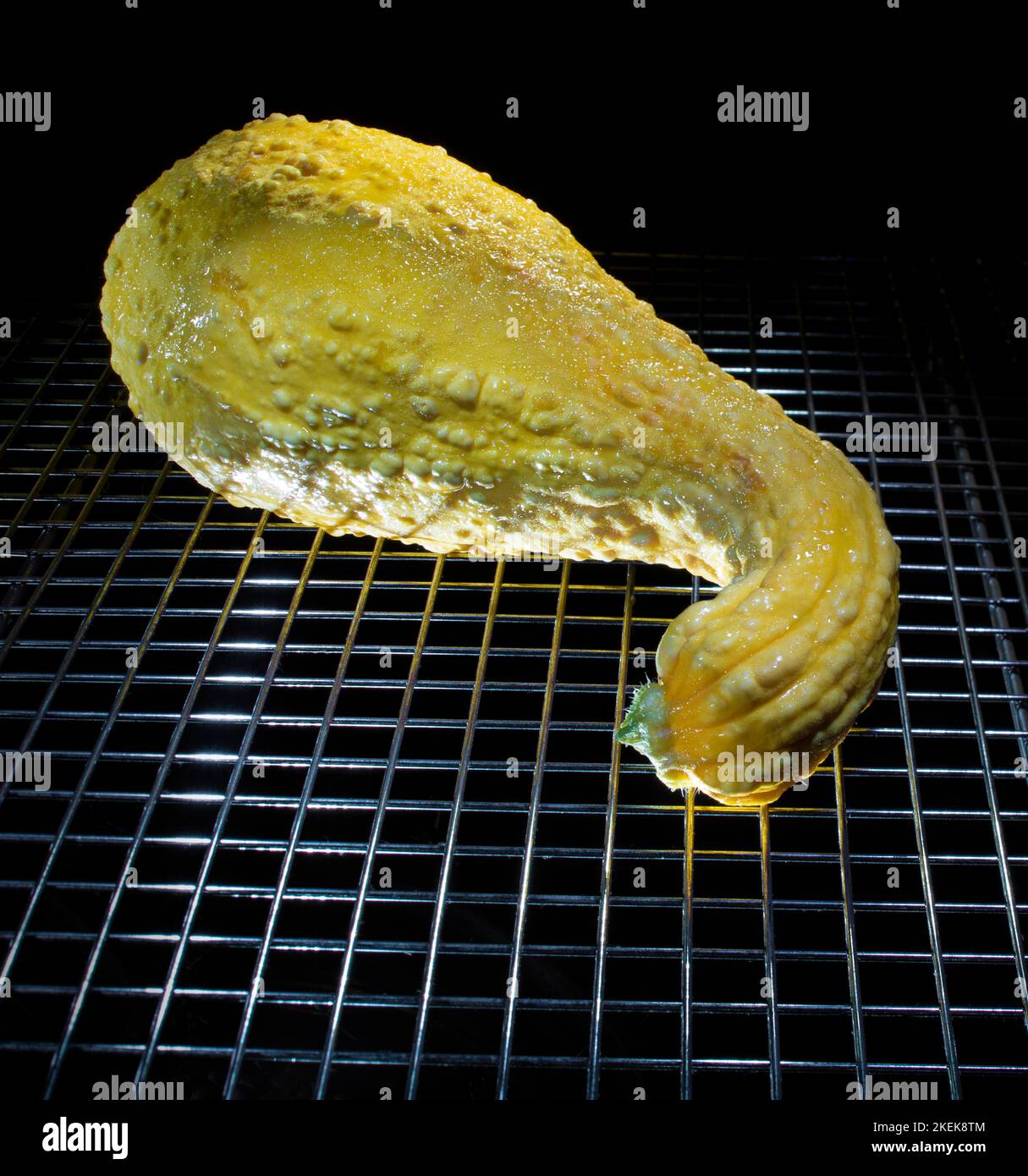 Large yellow squash on a metal grate with a dark background Stock Photo ...
