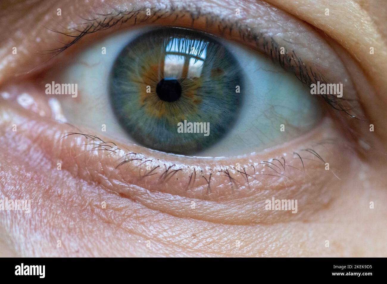 eye close-up on a face that is not young, eyes with poor vision ...