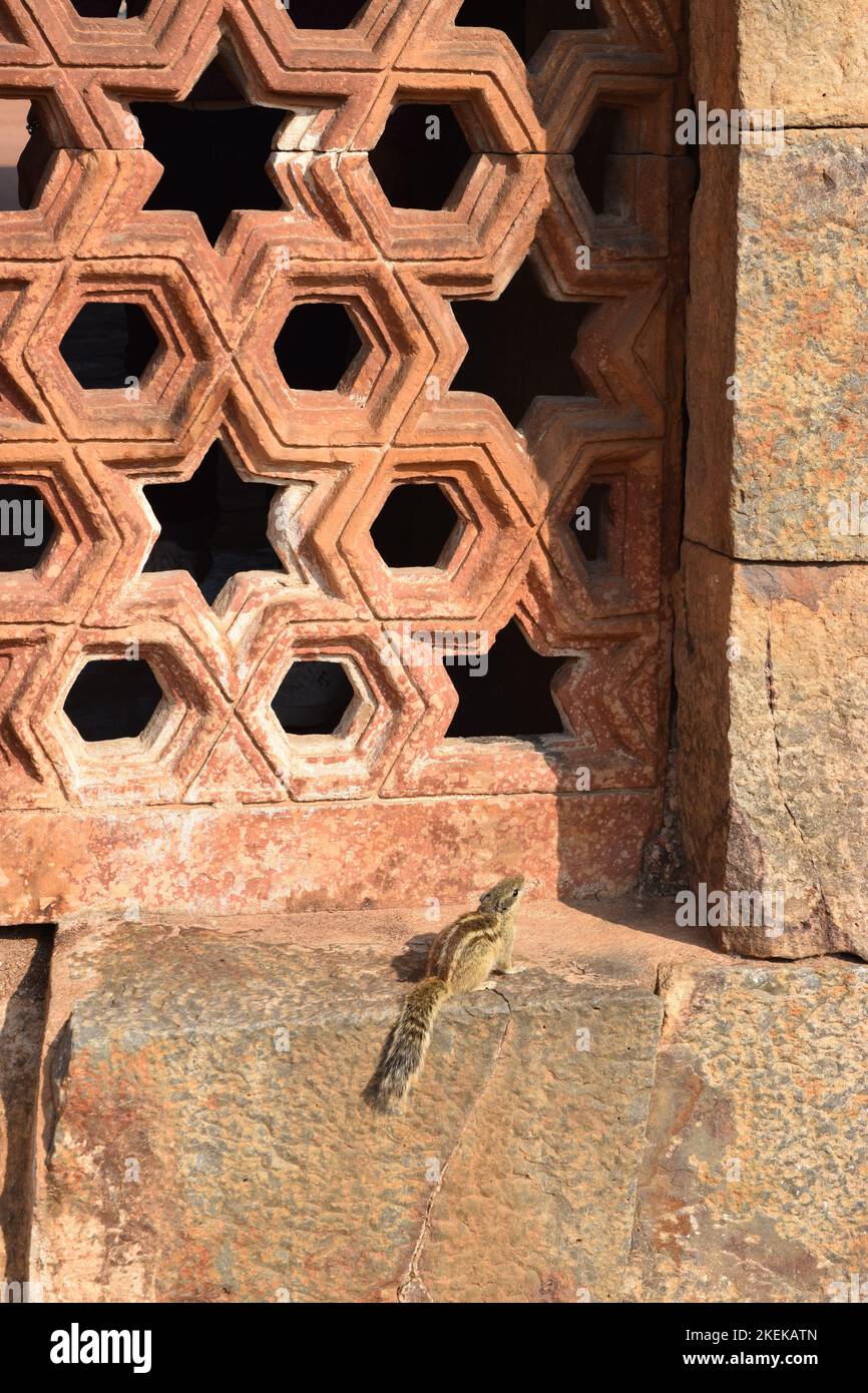 Patterned window lattice hi-res stock photography and images - Alamy