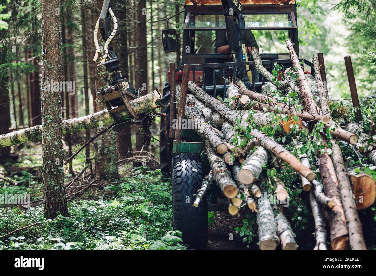 Lorry with logs hi-res stock photography and images - Alamy