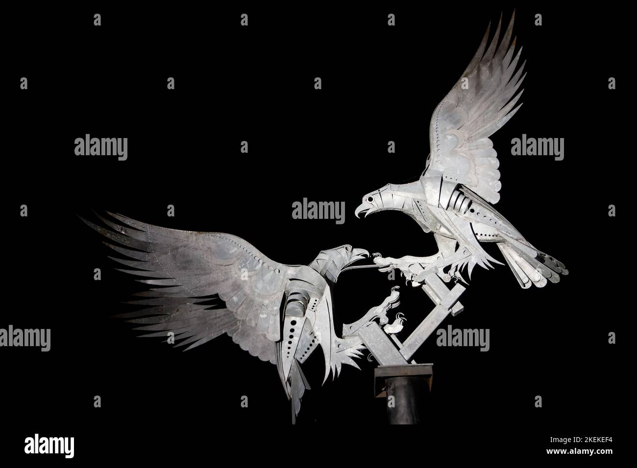 Two buzzards hi-res stock photography and images - Alamy