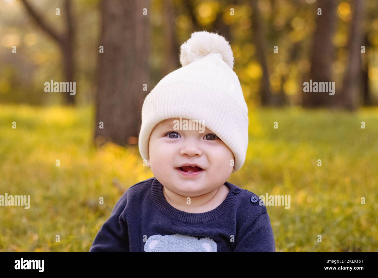 Baby orange tree hi-res stock photography and images - Alamy