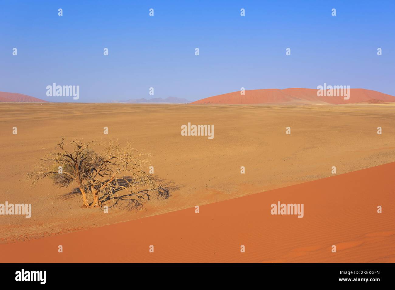 The famous dune 45. The southern part of the Namib Desert in the Namib ...