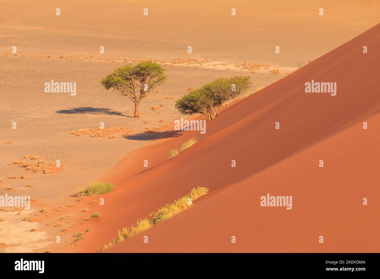 The famous dune 45. The southern part of the Namib Desert in the Namib ...