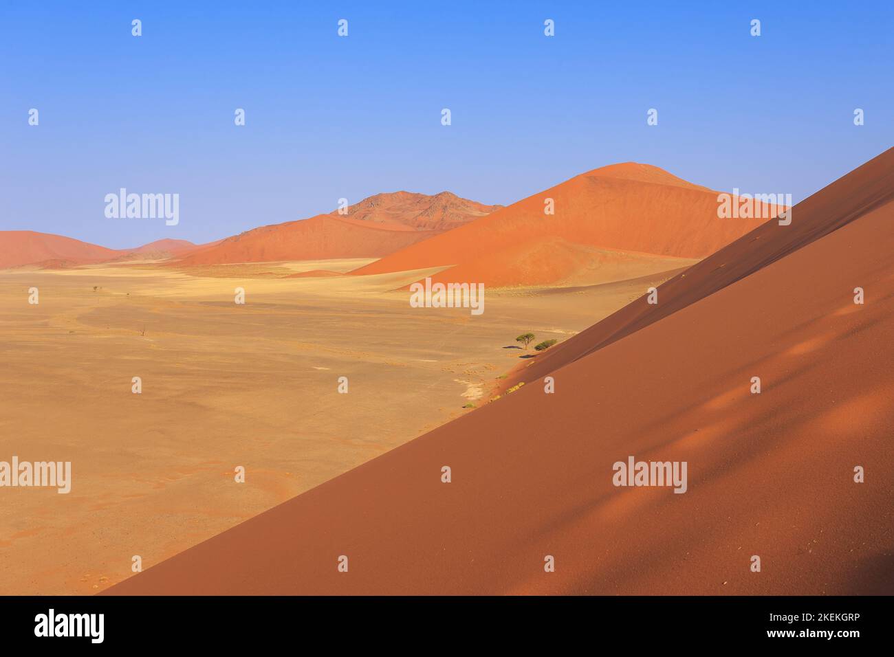 The famous dune 45. The southern part of the Namib Desert in the Namib ...