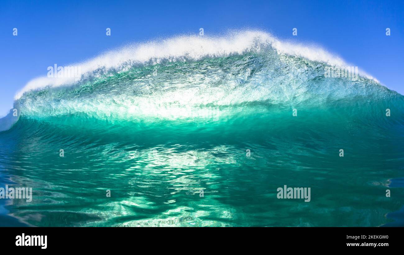 Swimming ocean wave morning blue sky backlit sunlight encounter close ...