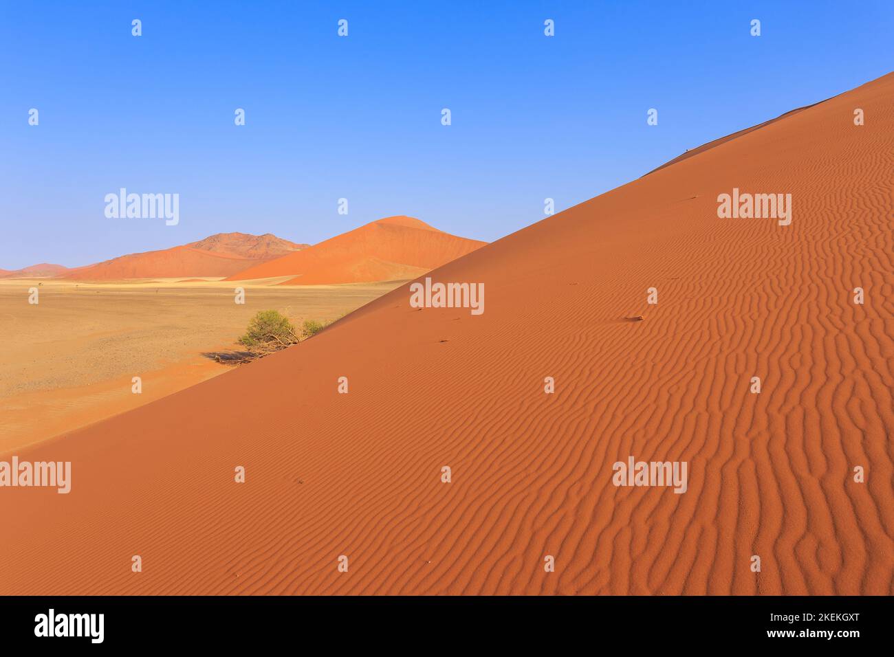 The famous dune 45. The southern part of the Namib Desert in the Namib ...