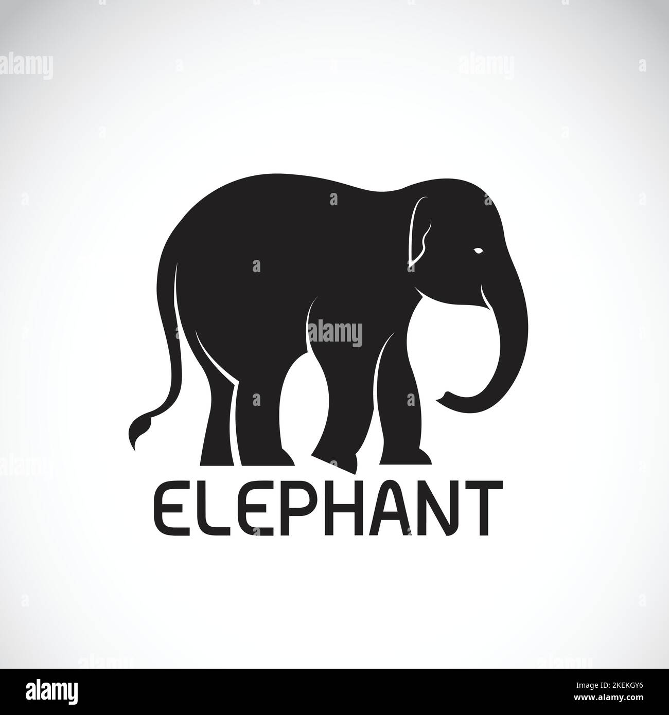 Vector of an elephant on white background. Wild Animal. Easy editable ...