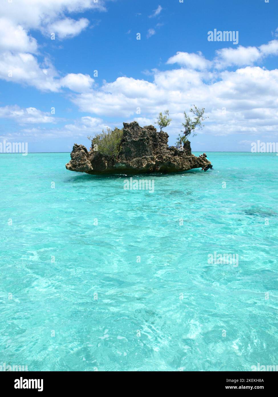 Bénitier bénitier hi-res stock photography and images - Alamy