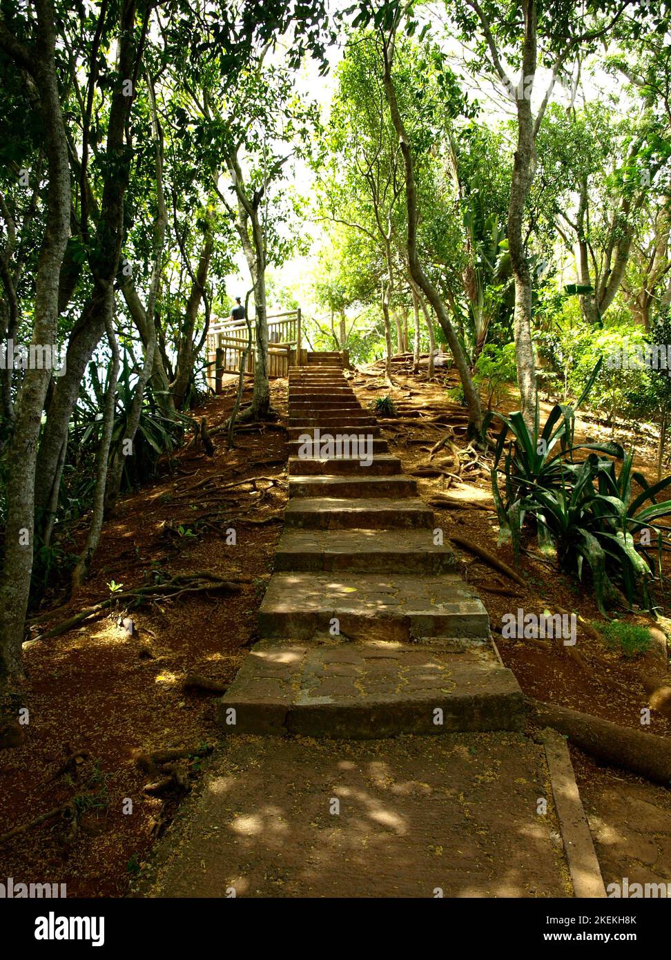 Chamarel cascade hi-res stock photography and images - Alamy