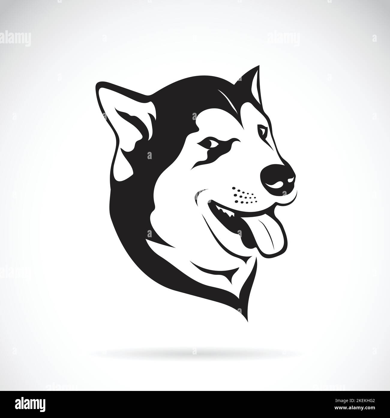 Vector of a dog siberian husky on white background. Easy editable ...