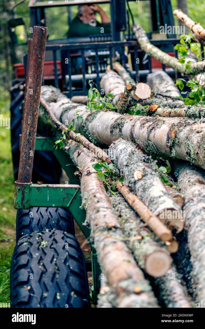 A vertical selective focus shot of wooden logs loaded on a timber lorry ...