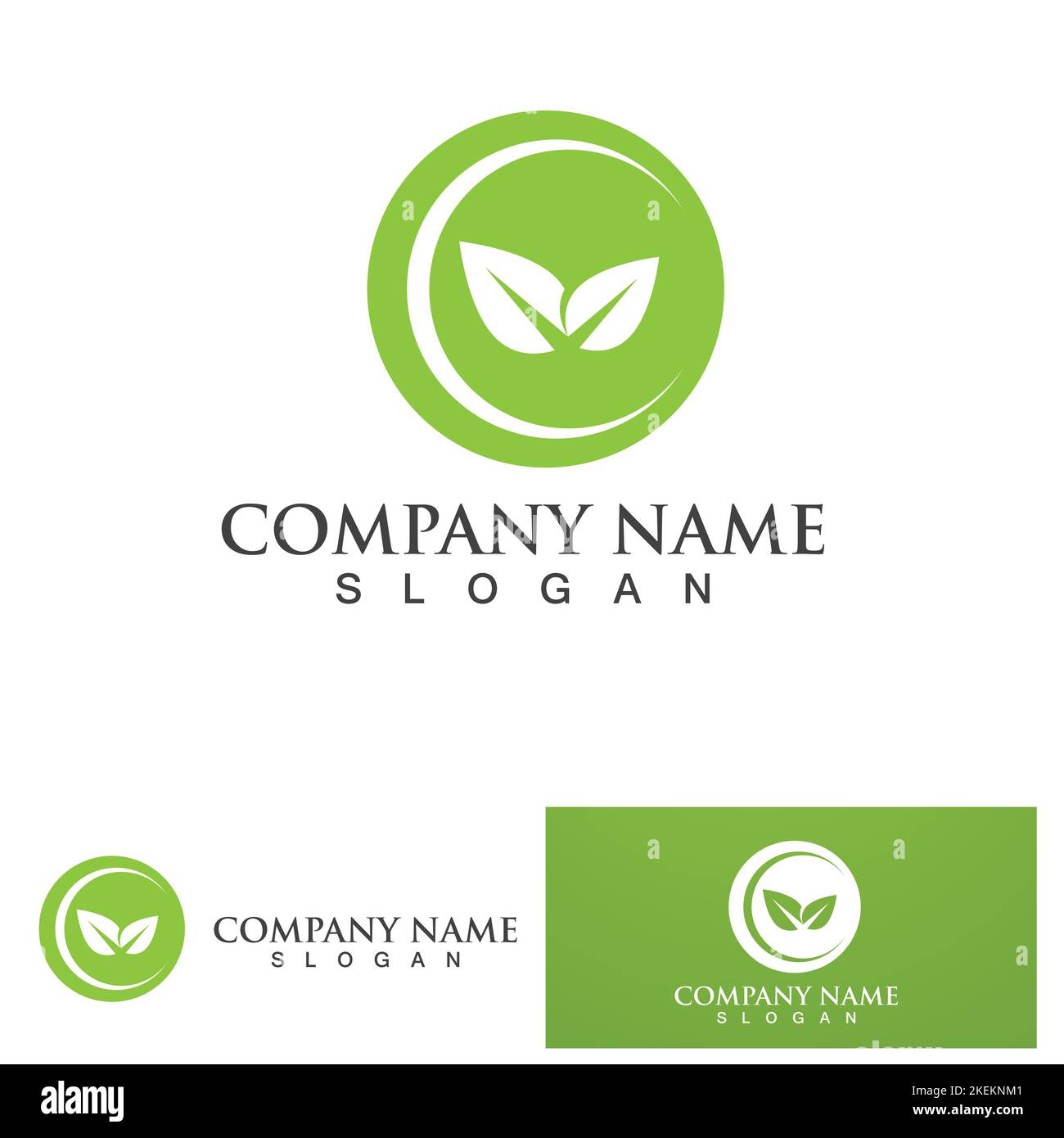 Eco Energy Vector Logo with leaf symbol. Green color with flash or ...