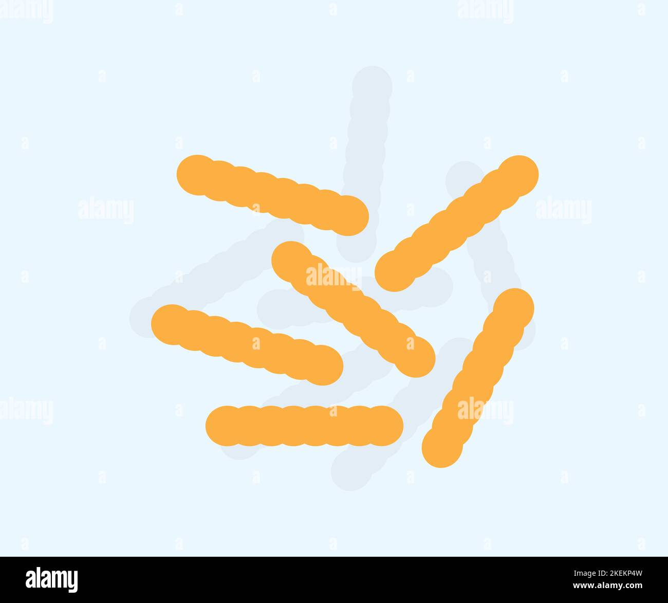 Bacteria Streptococcus thermophilus logo design. Probiotics, Microbiota ...