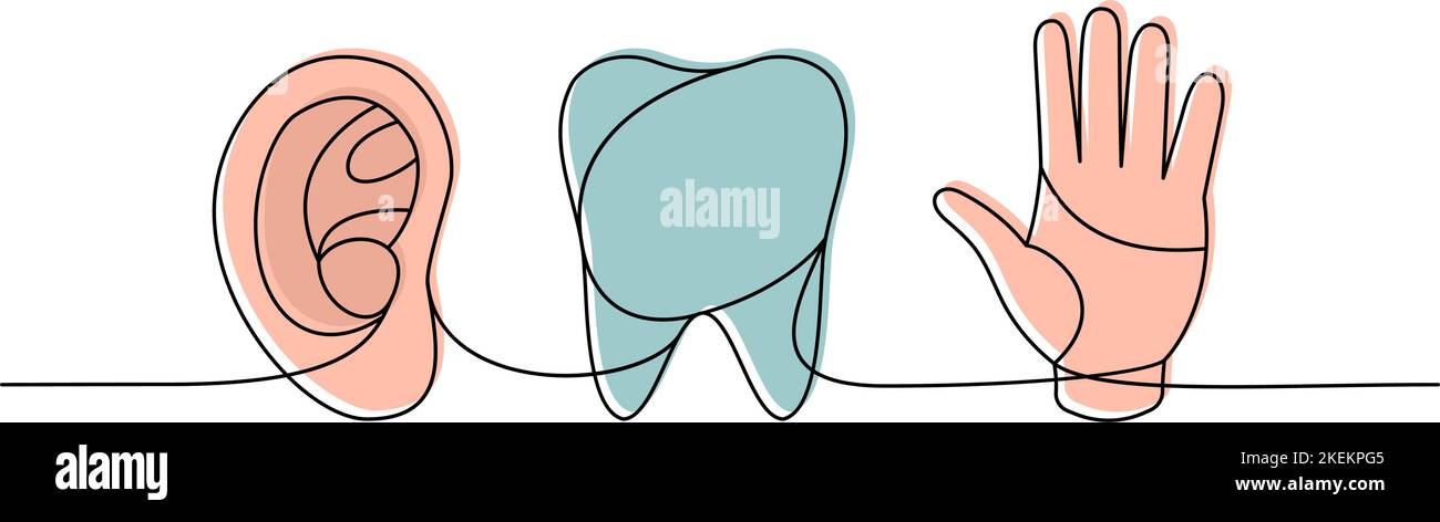 Set of human organs one line colored continuous drawing. Tooth, ear ...
