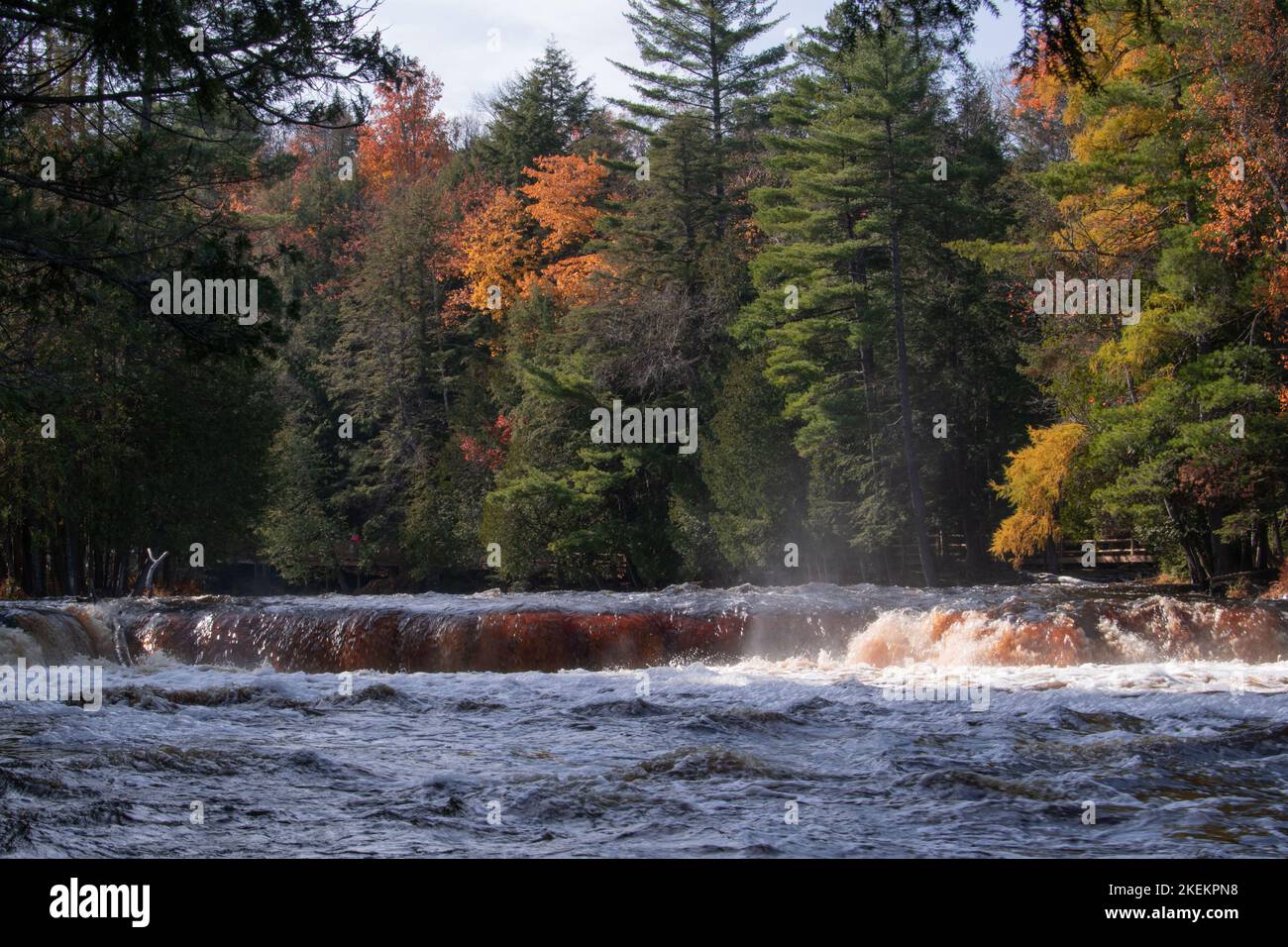 Fall colors in tahquamenon falls state park hi-res stock photography ...