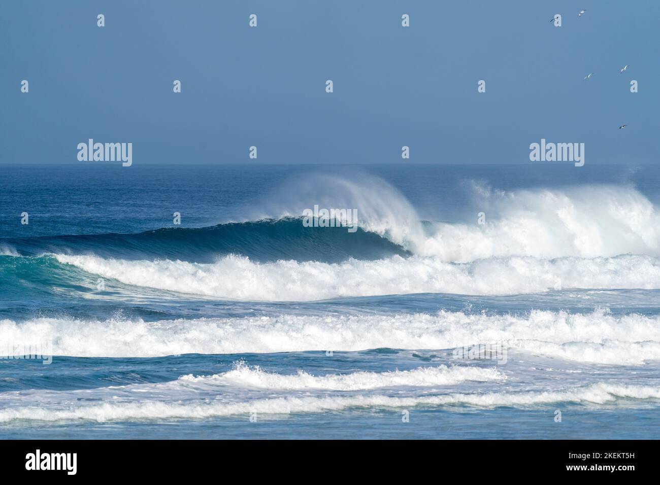 Wave in the ocean hi-res stock photography and images - Alamy
