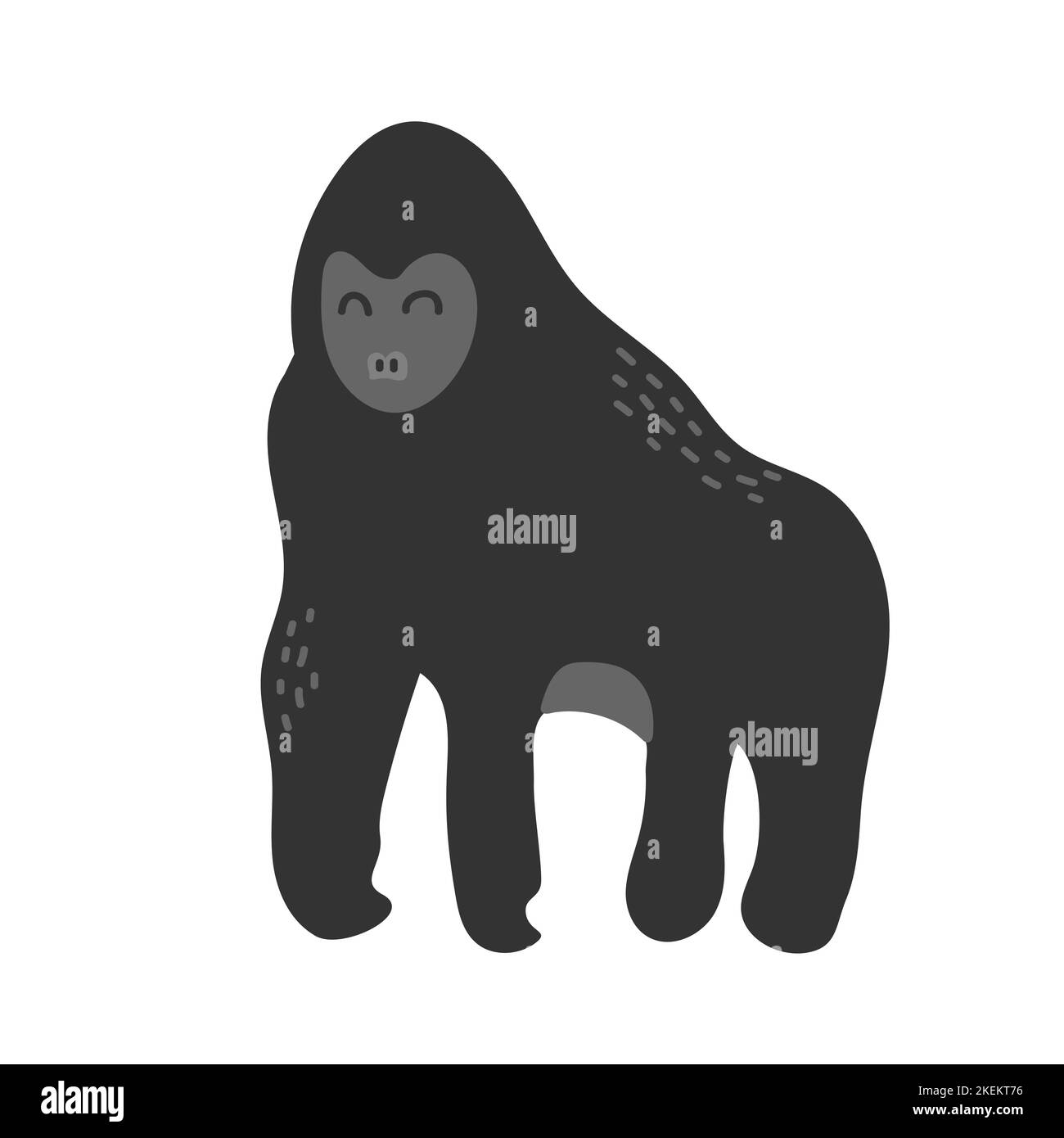 Gorilla African animals and wildlife, isolated primate species ...