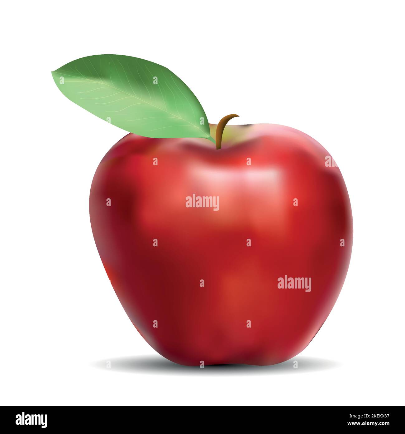 realistic vector of red apple fruit. White background Stock Vector ...