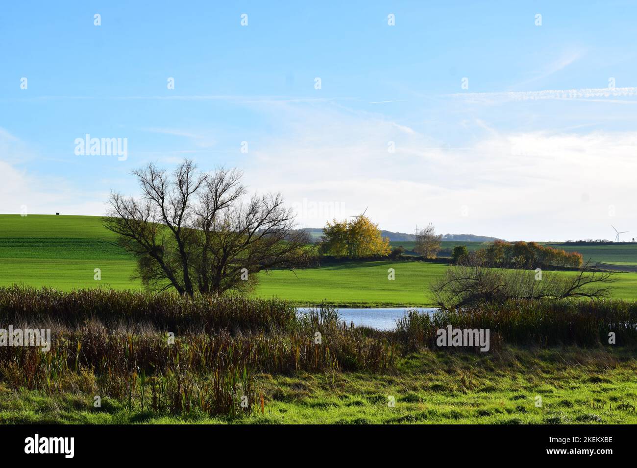 little swamp lake Stock Photo - Alamy