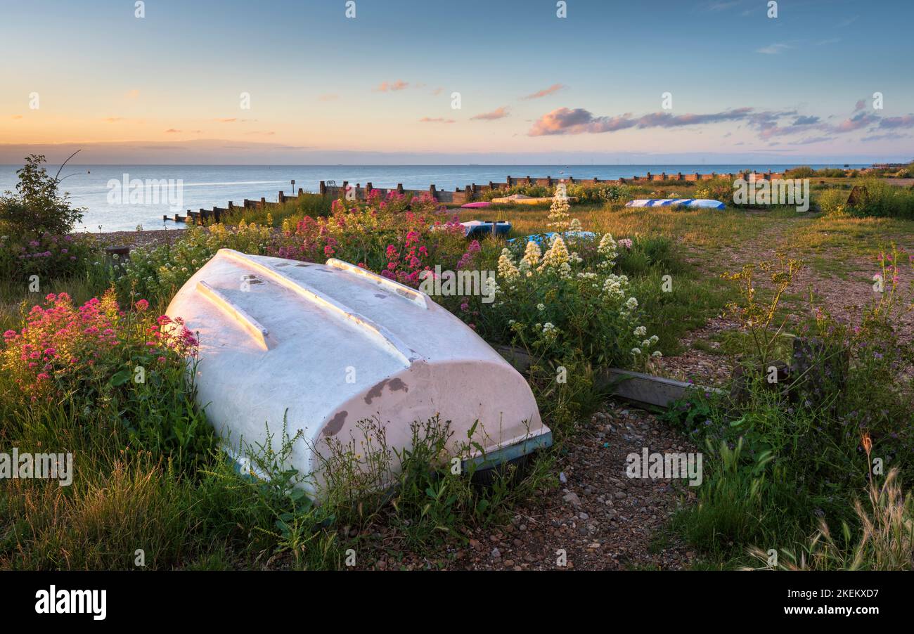 Sunset on the North Kent Coast at Whitstable Stock Photo - Alamy