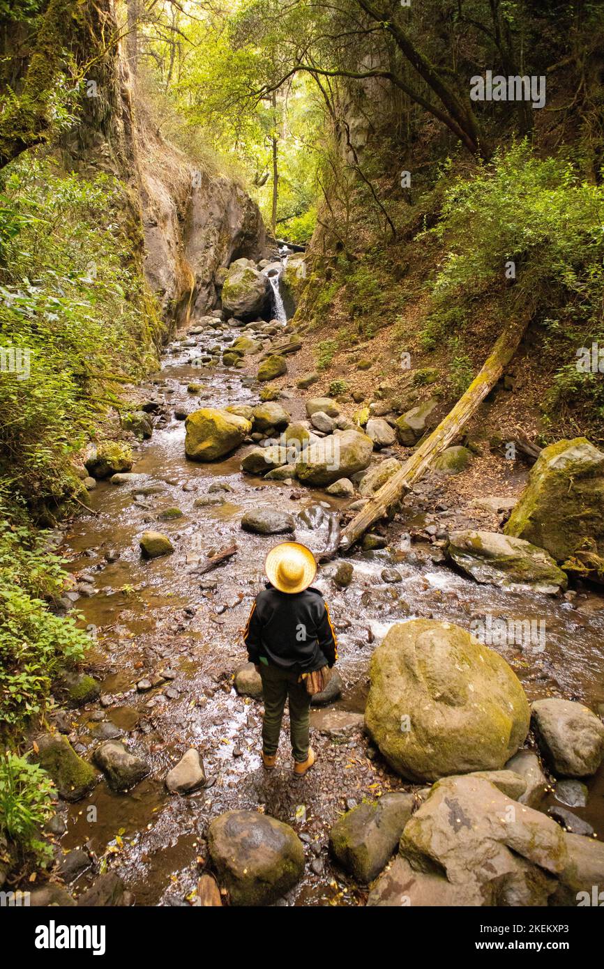 An explorer going through a forest with rivers Stock Photo - Alamy
